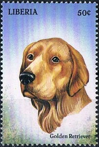 Stamp: Golden Retriever (Liberia(Dog Breeds (1999)) Mi:LR 2481,Sn:LR ...