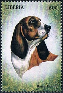 Stamp: Basset Hound (Liberia(Dog Breeds (1999)) Mi:LR 2483,Sn:LR 1487e ...