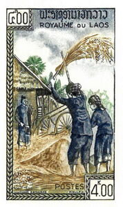 Stamp: Threshing Rice (Laos(Freedom From Hunger Campaign) Mi:LA 129B