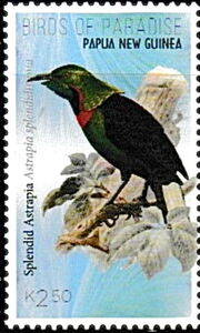 Stamp: Splendid Astrapia (Astrapia splendidissima) (Papua New Guinea ...