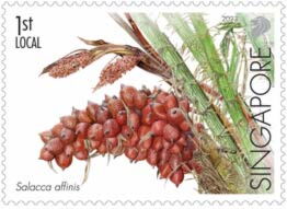 Stamp: Salacca affinis (Singapore(Endangered Flora of Singapore (2023 ...