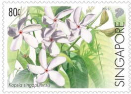 Stamp: Kopsia singapurensis (Singapore(Endangered Flora of Singapore ...