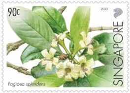 Stamp: Fagraea splendens (Singapore(Endangered Flora of Singapore (2023 ...