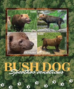 Stamp: Bush Dog (Guyana(Bush Dog (2022)) Mi:GY 9891-9894KB,Yt:GY 7326-7329