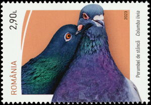 Stamp: Pigeon (Columba livia) (Romania(International Bird Day) Rom:RO ...