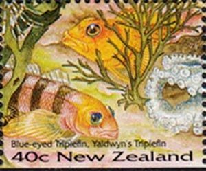 Stamp: Blue-eyed Triplefin (Notoclinops segmentatus), Yaldwyn's Tri ...