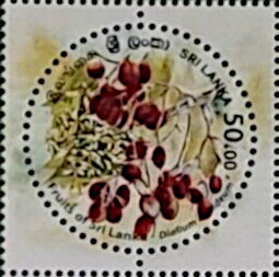 Stamp: Dialium ovoideum (Sri Lanka(Vegetables of Sri Lanka (2023)) Col ...