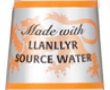 Drink Label: Llanllyr Source Fiery Ginger Beer (Llanllyr Water Co. Ltd ...
