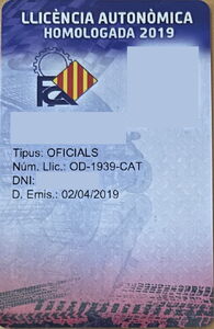 Functional Card: Real Federación Española de Automovilismo - Comisario ...