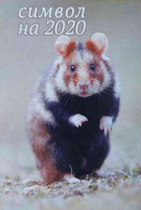 Pocket Calendar: Rat (Bulgaria(Rats) Col:BUL-2020-Rat-001.06