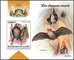 Stamp: Ptenochirus jagori (Guinea(Bats (2023)) Col:GN 2023.02.24-012