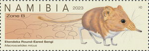 Stamp: Etendeka Round-Eared Sengi (Macroscelides micus) (Namibia ...