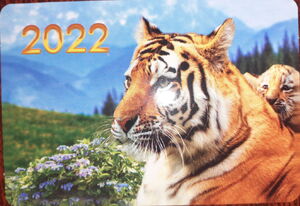 Pocket Calendar: Tiger (Russia(Tigers) Col:RUS-2022-Tiger-009.25