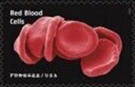 Stamp: Red Blood Cells (United States of America(Life Magnified (2023 ...