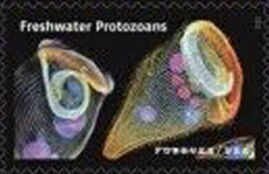 Stamp: Freshwater Protozoans (United States of America(Life Magnified ...