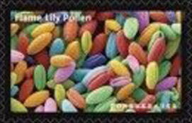 Stamp: Flame Lily Pollen (United States of America(Life Magnified (2023 ...