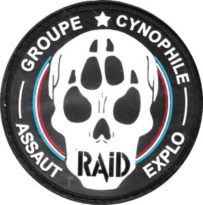 Decoration: Groupe cynophile - RAID - assaut - explo (France(Cynophiles ...
