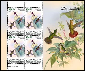 Stamp: Calothorax pulcher (Djibouti(Hummingbirds (2023)) Col:DJ 2023.03 ...