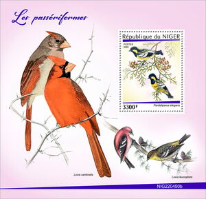Stamp: Passeriformes (Niger(Passeriformes (2022)) Col:NE 2022.10.14-202