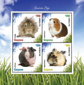 Stamp: Guinea Pigs (Guyana(Guinea Pigs) Mi:GY 8735-8738KB,Sn:GY 4286,Yt ...