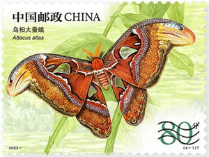 Stamp: Atlas Moth (Attacus atlas) (China, People's Republic(Insects of ...