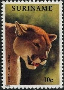 Stamp: Puma (Felis concolor) (Suriname(Puma) Mi:SR 1371,Sn:SR 892,Sg:SR ...