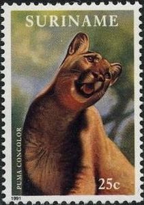 Stamp: Puma (Felis concolor) (Suriname(Puma) Mi:SR 1373,Sn:SR 894,Sg:SR ...