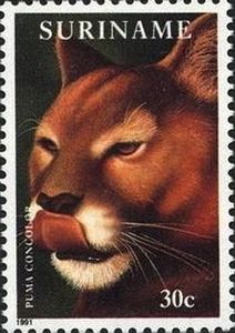 Stamp: Puma (Felis concolor) (Suriname(Puma) Mi:SR 1374,Sn:SR 895,Sg:SR ...