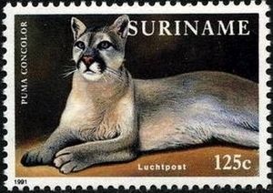 Stamp: Puma (Felis concolor) (Suriname) (Puma) Mi:SR 1375,Sn:SR 896,Sg ...