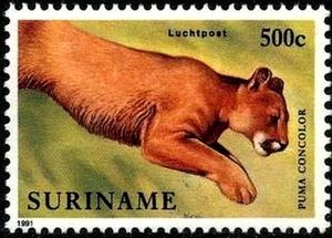 Stamp: Puma (Felis concolor) (Suriname(Puma) Mi:SR 1376,Sn:SR 897,Sg:SR ...