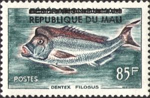 Stamp: Pink Dentex (Dentex filosus) (Mali(Fish (1961)) Mi:ML 20,Sn:ML ...