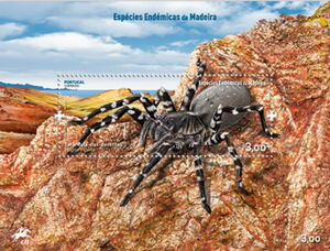 Stamp: Deserta Grande Wolf Spider (Hogna ingens) (Madeira Islands ...