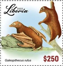 Stamp: Galeopithecus rufus (Liberia(Bats (2022)) Yt:LR 6907