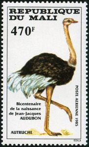 Stamp: Ostrich (Struthio camelus) (Mali(Birds) Mi:ML 1048,Sn:ML C514,Yt ...