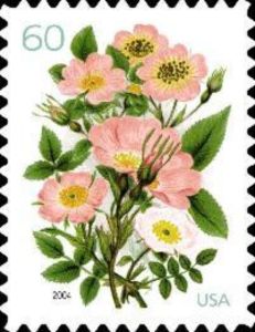 Stamp: Pink Roses (United States of America(Flowers) Mi:US 3814BA,Sn:US ...