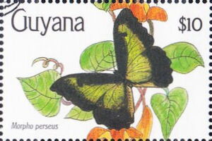Stamp: Morpho perseus overprinted with part of the Lions Club symbo ...