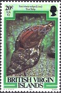 Stamp: True Tulip (Fasciolaria tulipa) (British Virgin Islands(Marine ...