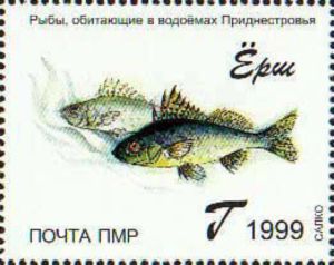 Stamp: Eurasian Ruffe (Gymnocephalus cernua) (Transnistria(Fauna - Fish ...
