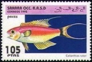 Stamp: Callanthias Ruber (Western Sahara: Illegal Stamps(Sahara Occ ...