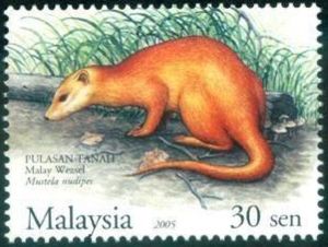 Stamp: Malayan Weasel (Mustela nudipes) (Malaysia(Mammals) Mi:MY 1330 ...