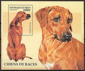 Stamp: Rhodesian Ridgeback (Canis lupus familiaris) (Benin(Dogs 1997 ...