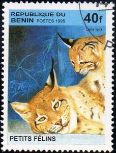 Timbre: Eurasian Lynx (Lynx lynx) (Bénin(Wild Cats 1995) Mi:BJ 704,Sn ...