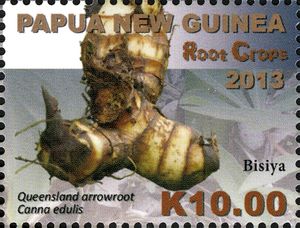 Stamp: Queensland Arrowroot (Canna edulis) (Papua New Guinea(Root crops) Mi:PG 1892,WAD:PG032.13