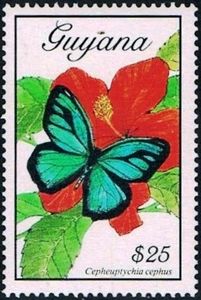 Stamp: Cephus Blue Ringlet (Cepheuptychia cephus) (Guyana(Butterflies ...