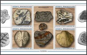 Stamp: Fossils (Guinea(Fossils (2023)) Col:GN 2023.07.05-003