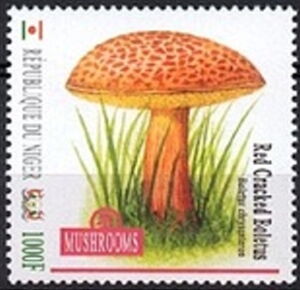 Stamp: Mushrooms (Red Cracked Boletus) (Niger: Illegal Stamps(Mushrooms ...