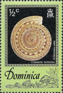Stamp: Common Sundial (Architectonica nobilis) (Dominica(Sea Shells) Mi ...