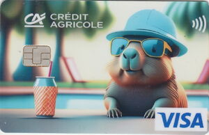 Bank Card: Capybara - Visa (Credit Agricole Bank Polska, PolandCol:PL ...