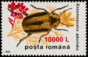 Stamp: Leaf Beetle (Entomoscelis adonidis) - Surcharged (Romania(Leaf ...