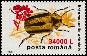 Stamp: Leaf Beetle (Entomoscelis adonidis) - Surcharged (Romania(Leaf ...